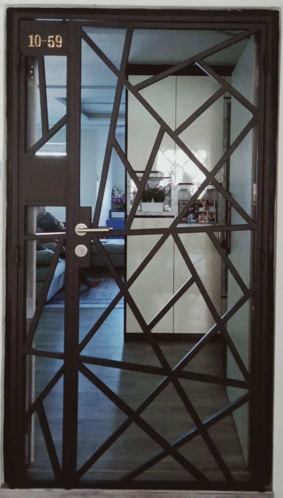 HDB Metal Gates - SH027 Naturalist Geometric Fractal Designed - Metal ...